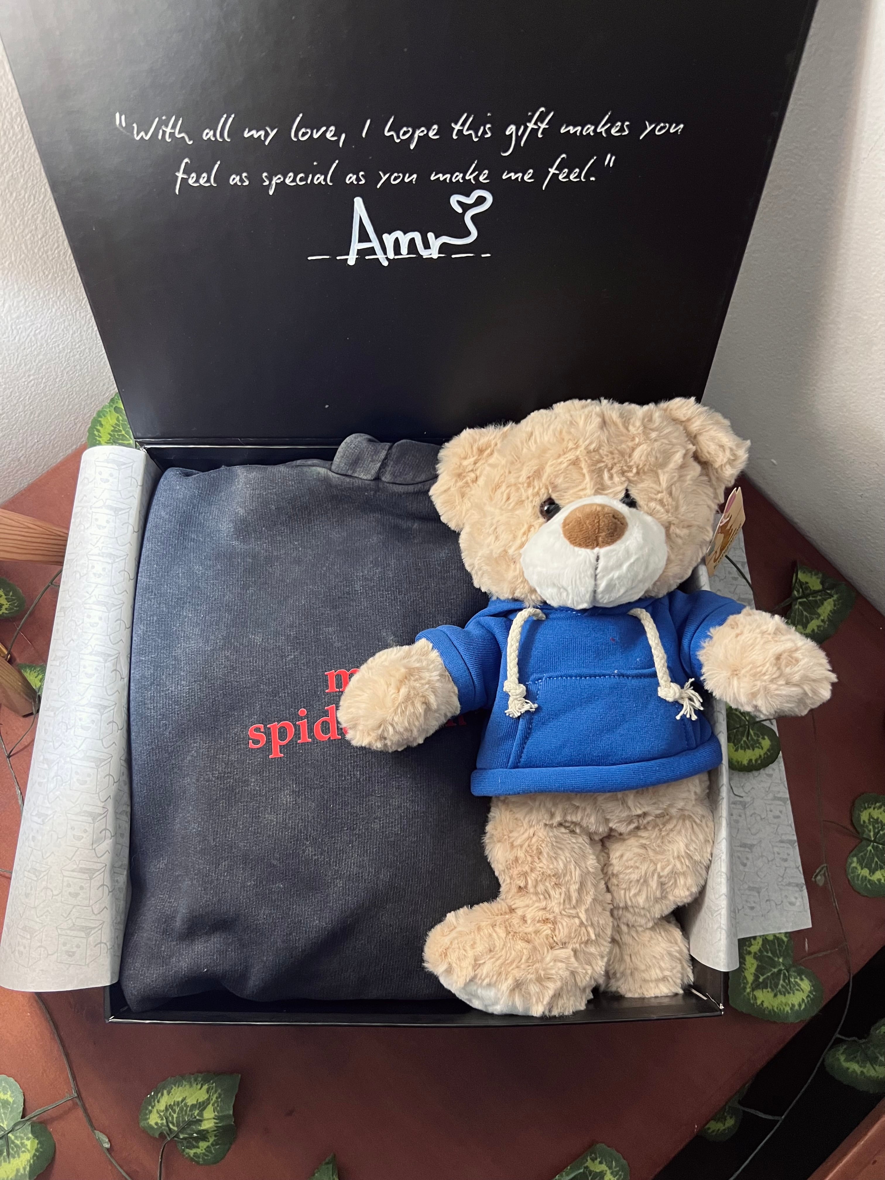 SPIDER&TEDDY BOX – Boxsito